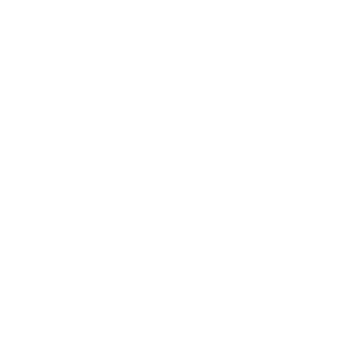 Janel Drewis Animation Workshop